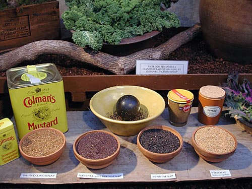 Julutställning | Odla.nu