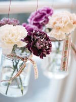 Nejlika – fakta, skötsel & inspiration till din bukett | Odla.nu